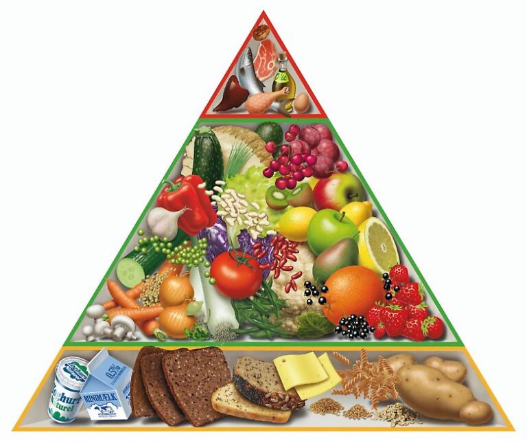 Madpyramider, den gamle og den nye madpyramide og de officielle kostråd